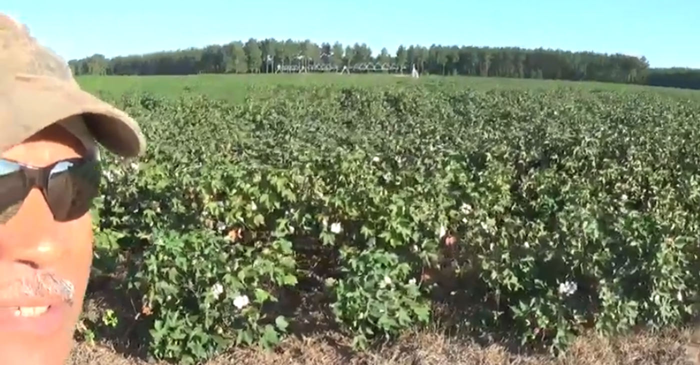 Of Land and Nation - The San Diego Voice & Viewpoint