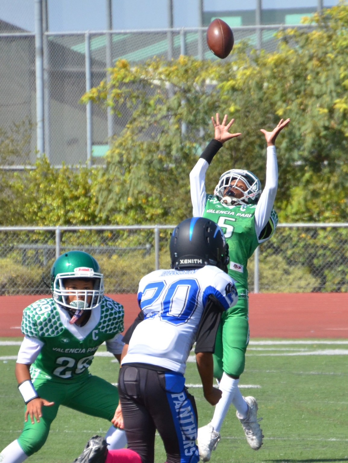 Valencia Park Hornets Try to Sting Their Way Back to Greatness - The ...