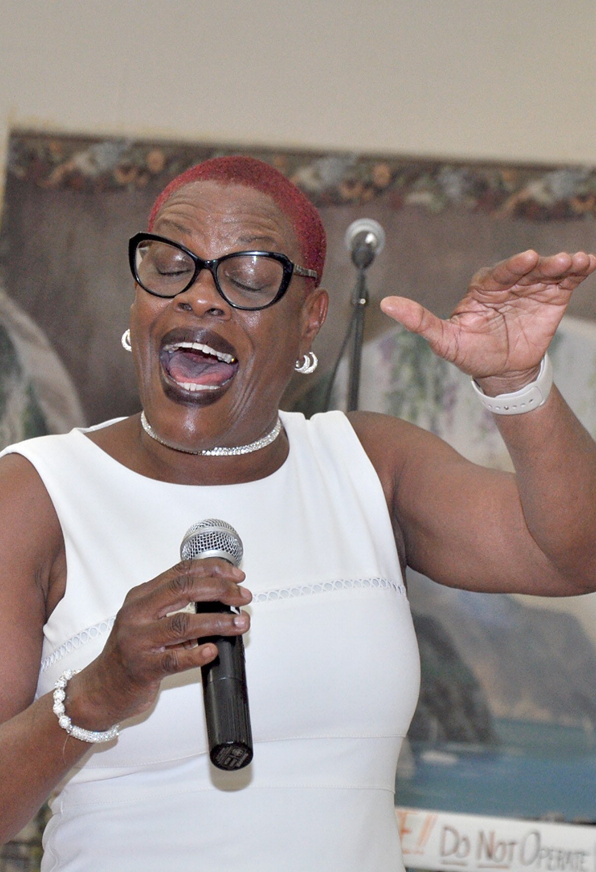 Big Fun at the George Stevens’ Center Jazz Fest - The San Diego Voice ...