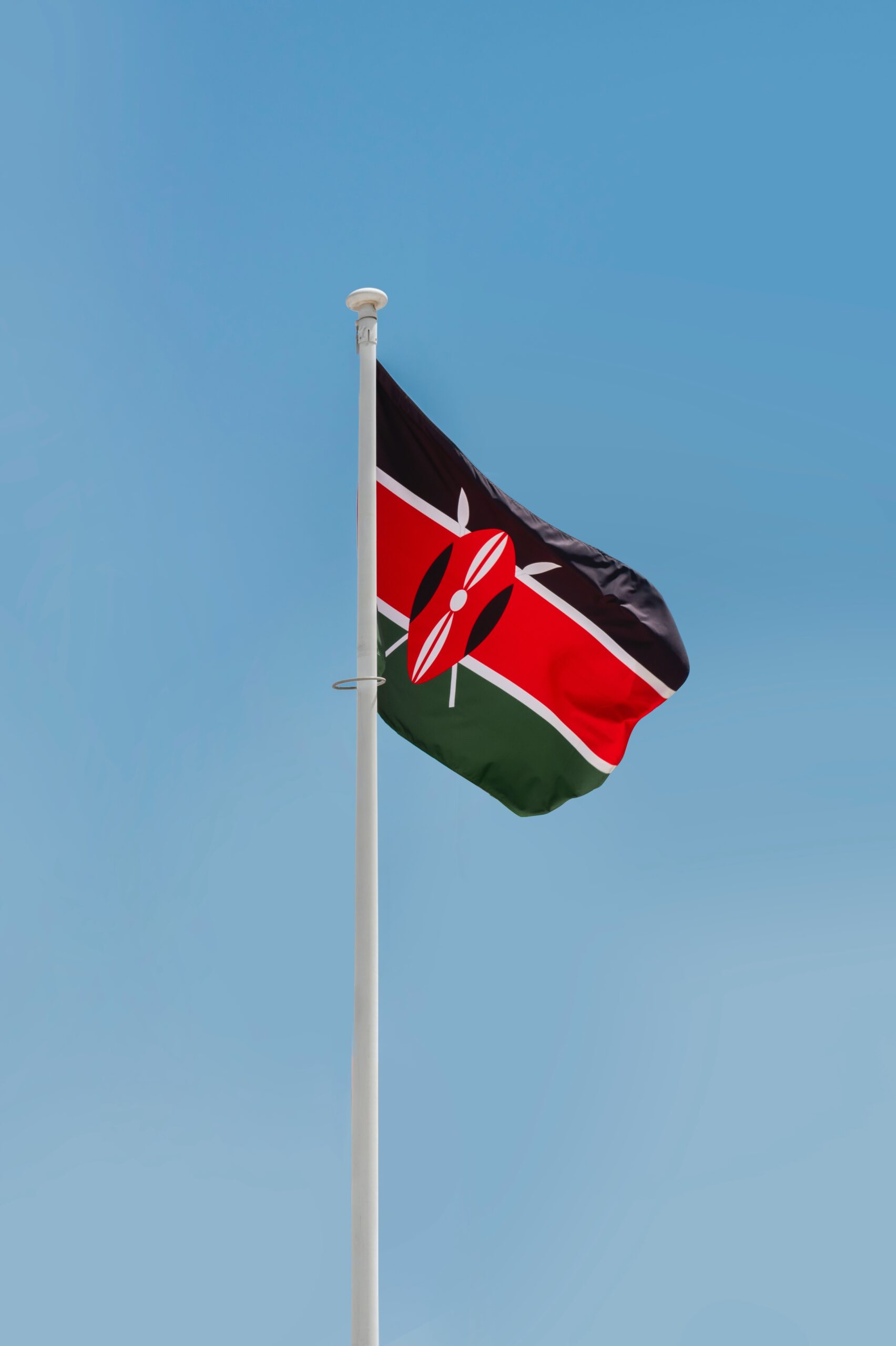 Kenya’s Opposition wants to Split up the Country – but Secession Calls ...